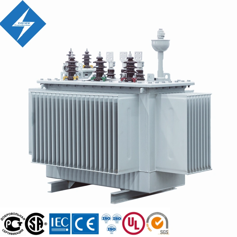 Оптовая цена на трансформатор ТМГ 1600 10/0,4 | Evernew Transformer