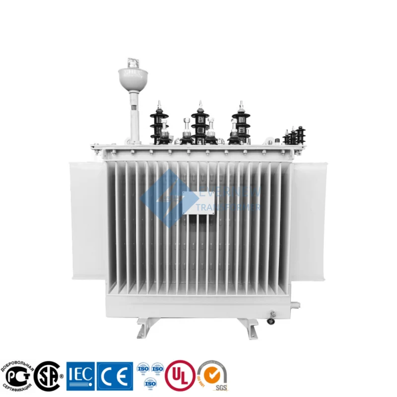 Масляный силовой трансформатор ТМГ 1000 10 | Evernew Transformer