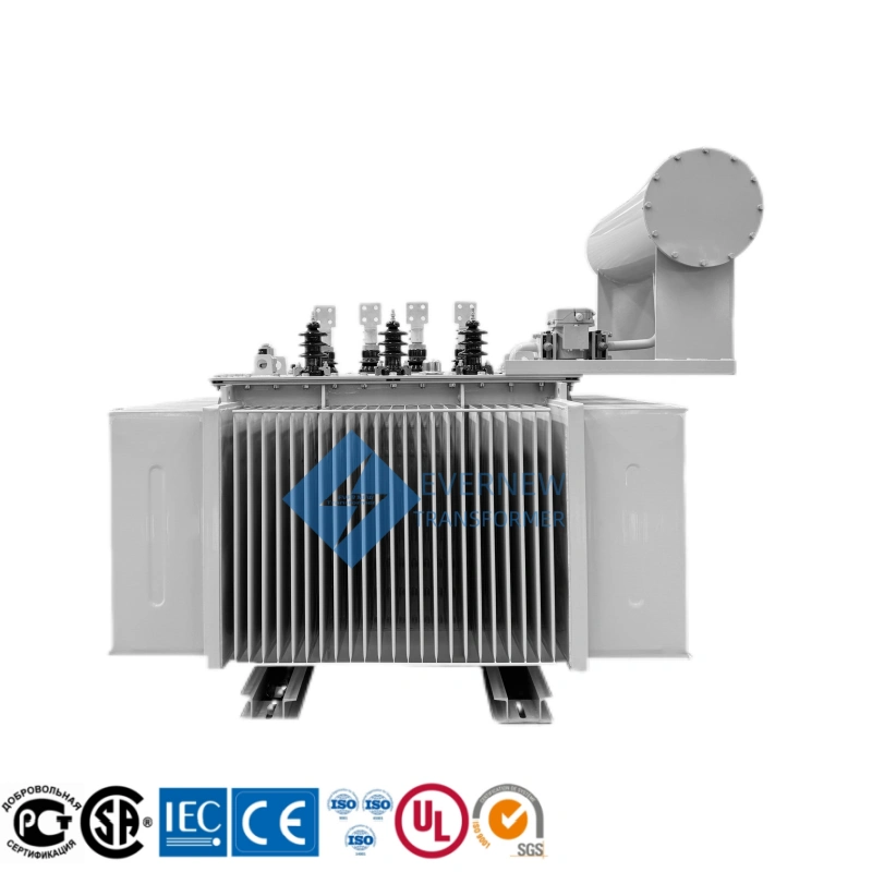 Transformer manufacturer supplies the TM 2500 10 0.4 | Evernew Transformer